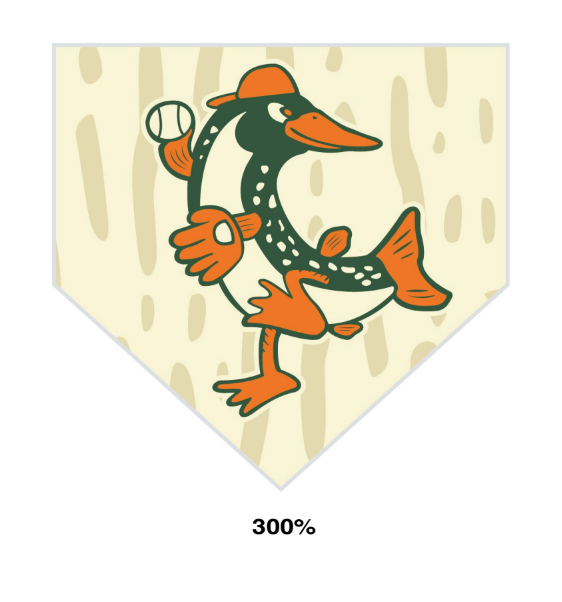 Madison Mallards Baseball Team Store